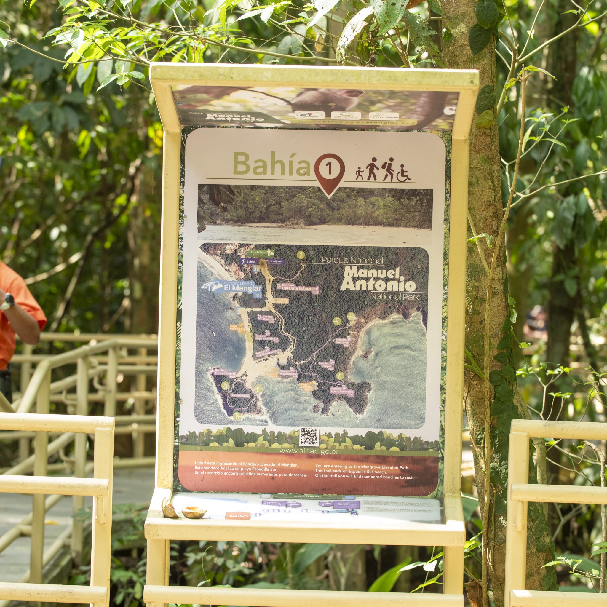 Unveiling the Splendors of Manuel Antonio National Park – CR Marriott